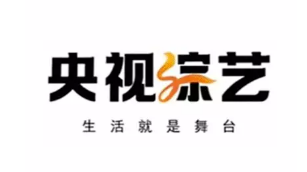 CCTV3综艺频道标志logo设计,品牌vi设计